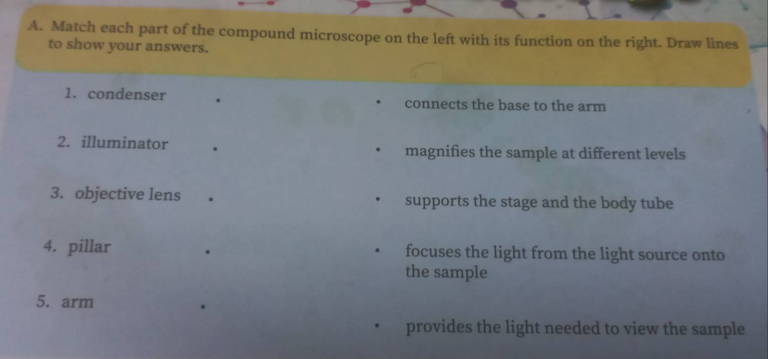 Solved: Match each part of the compound microscope on the left with its ...