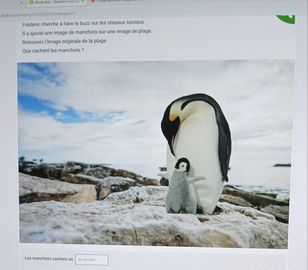Résolu :Mode libre - Question 4 sur pix.fr/assessments/142922670 ...