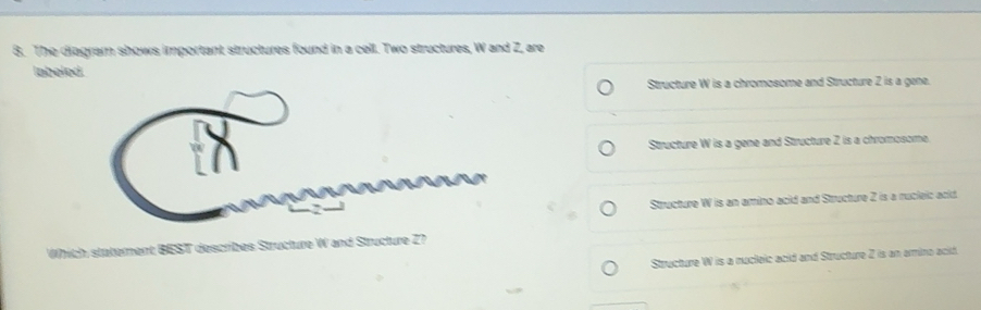 Gelöst:The diagram shows important structures found in a cell. Two ...