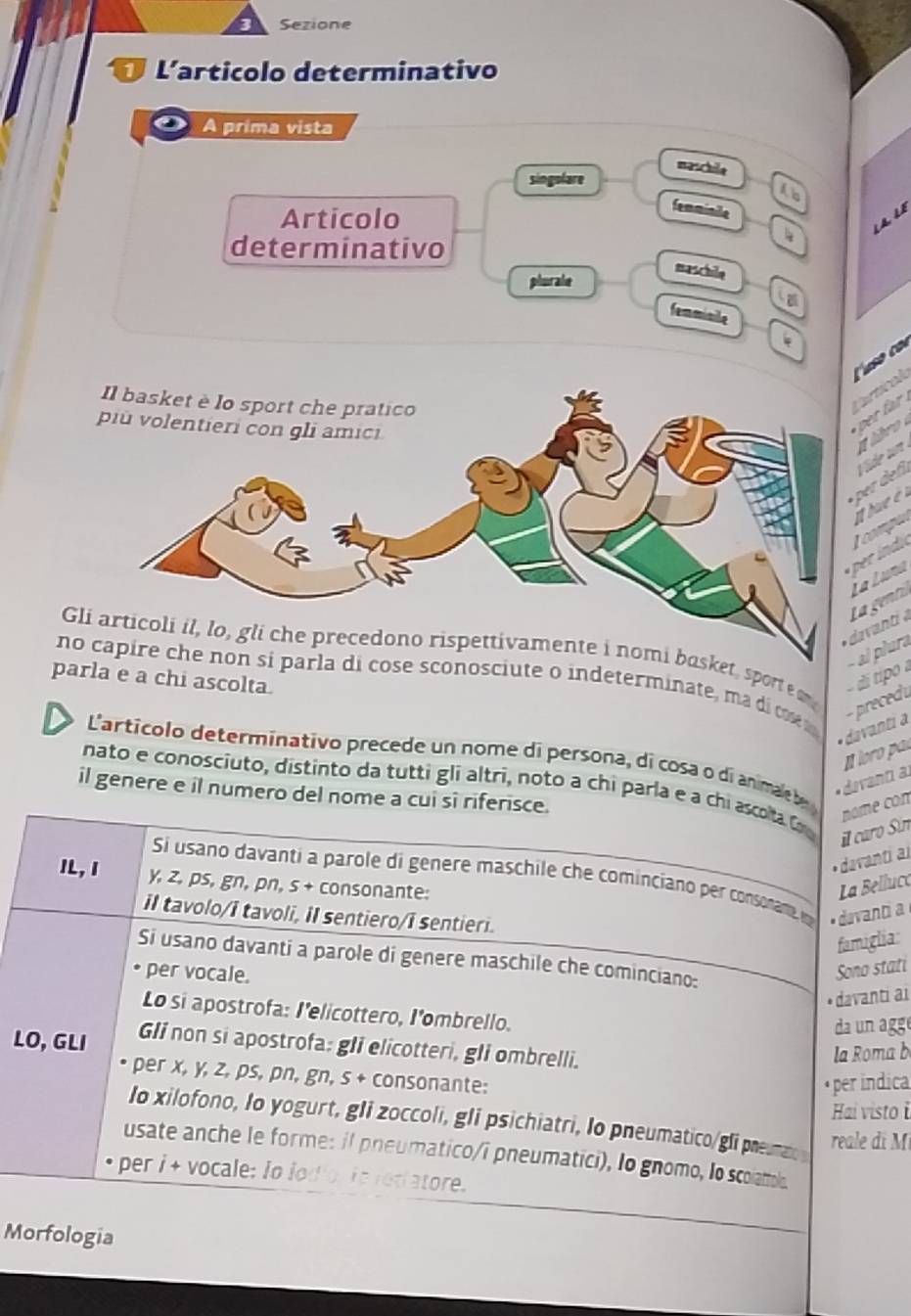 Risolto:Sezione L'articolo determinativo A prima vista maschile ...