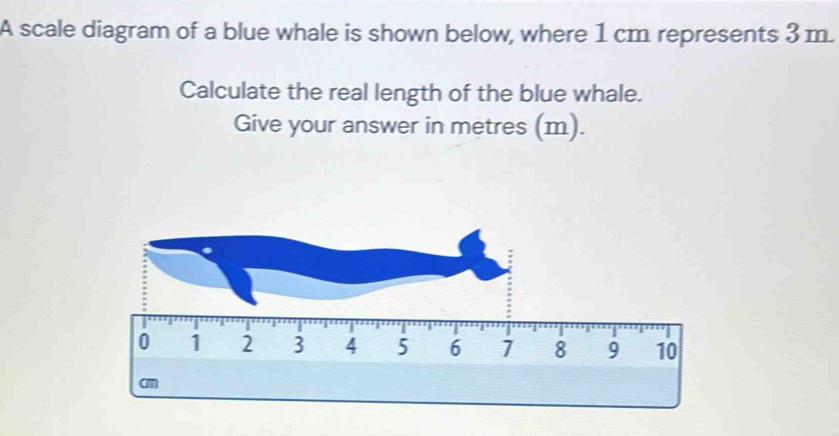 Solved: A scale diagram of a blue whale is shown below, where 1 cm ...