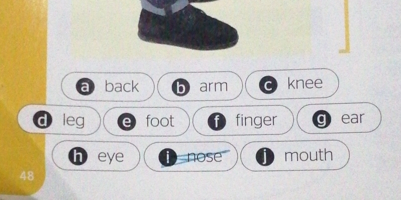 Resuelto:a back b arm C knee leg e foot f) finger ear h eye nose mouth 48