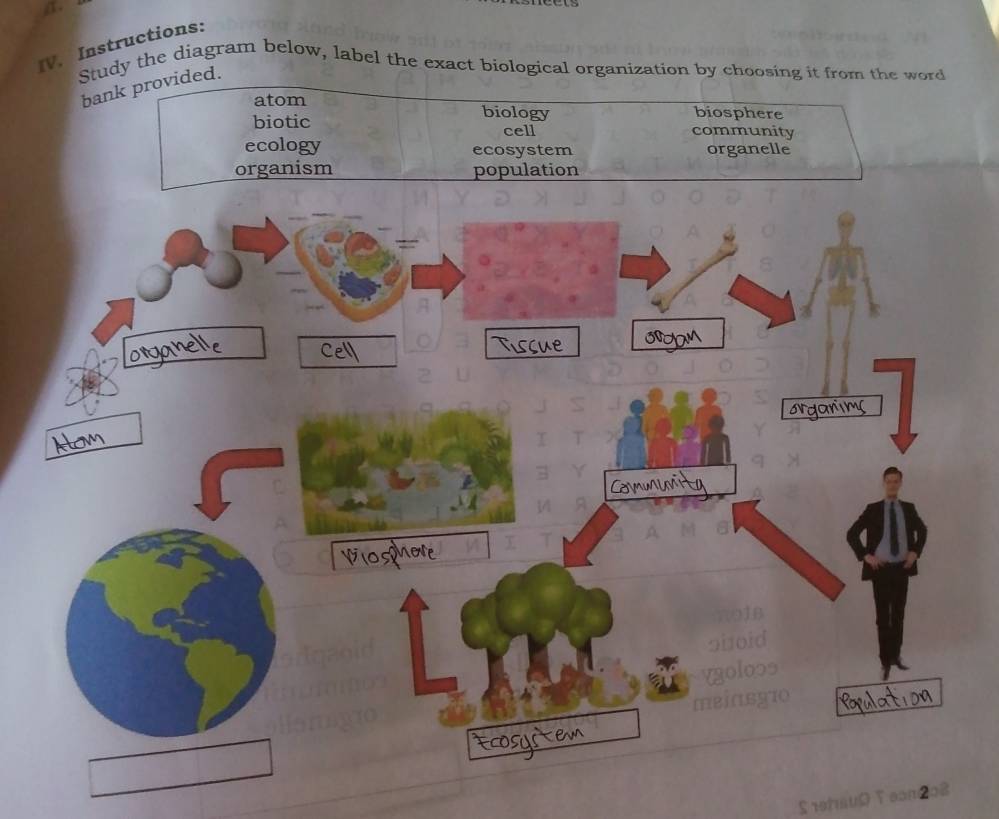 Solved: a、 IV. Instructions: Study the diagram below, label the exact ...