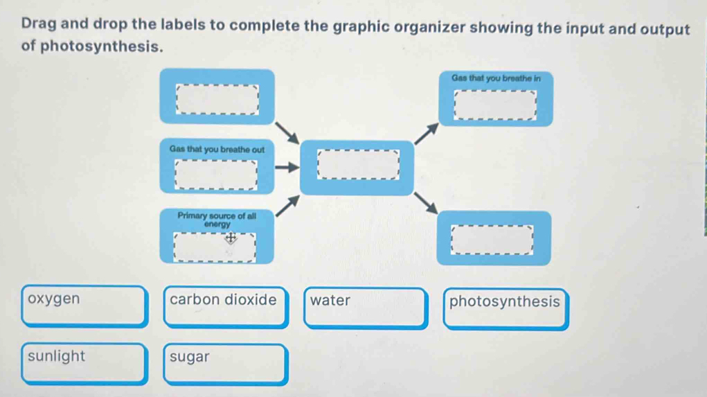 Solved: Drag and drop the labels to complete the graphic organizer ...