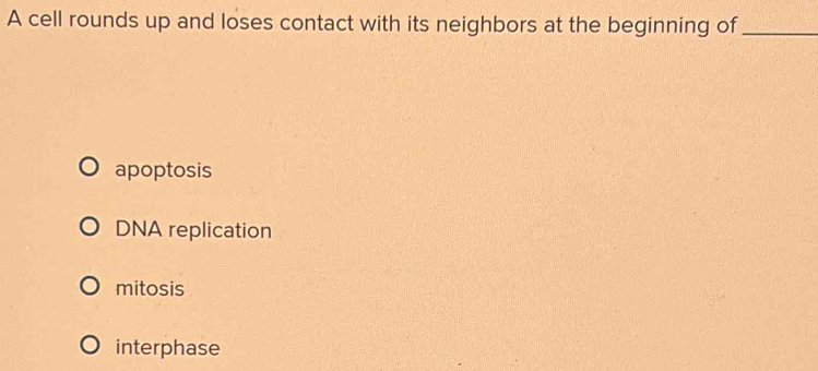 Solved: A cell rounds up and loses contact with its neighbors at the ...