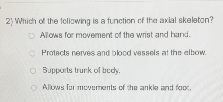 Solved: Which of the following is a function of the axial skeleton ...