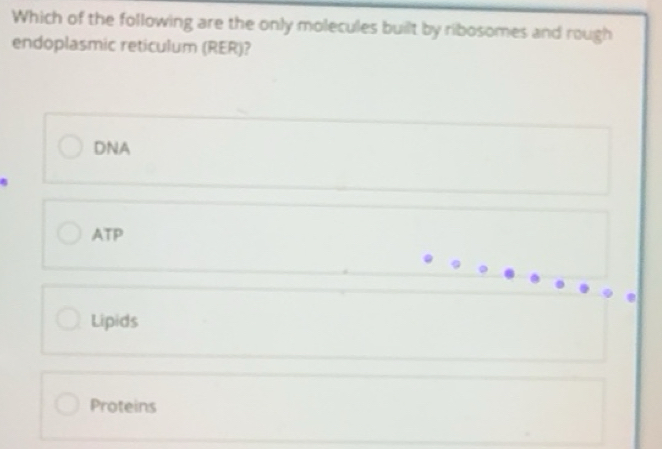 Solved: Which of the following are the only molecules built by ...