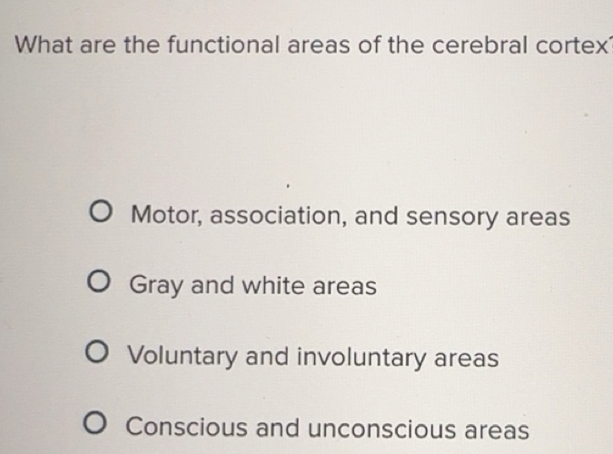 Solved: What are the functional areas of the cerebral cortex' Motor, association, and sensory ...