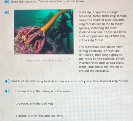 )) Read the passage. Then answer the question below. 4Bull kelp, a ...