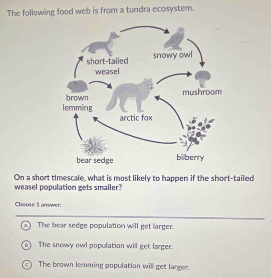 Solved: The following food web is from a tundra ecosystem. On a short ...