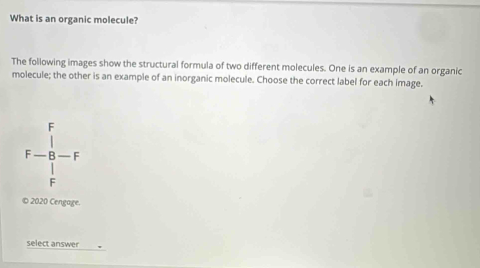 Solved: What is an organic molecule? The following images show the ...