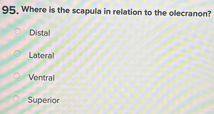 Solved: Where is the scapula in relation to the olecranon? Distal ...