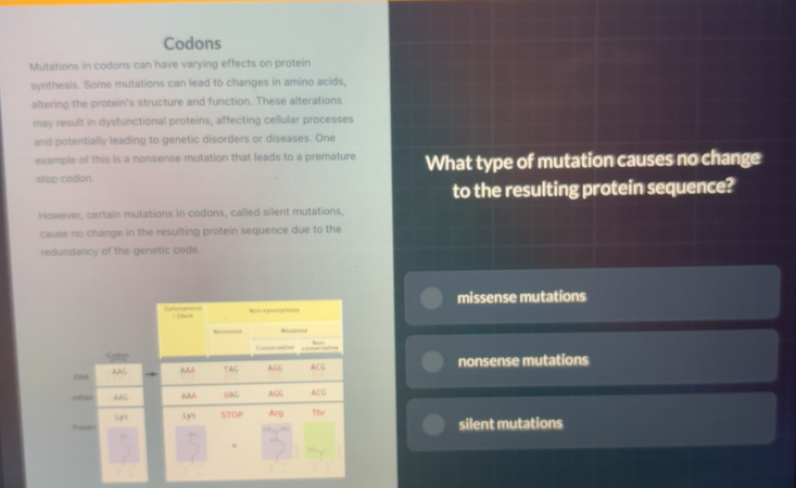 Solved: Codons Mutations in codons can have varying effects on protein ...