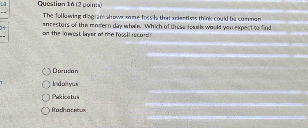 Solved: The following diagram shows some fossils that scientists think could be common 21 ...