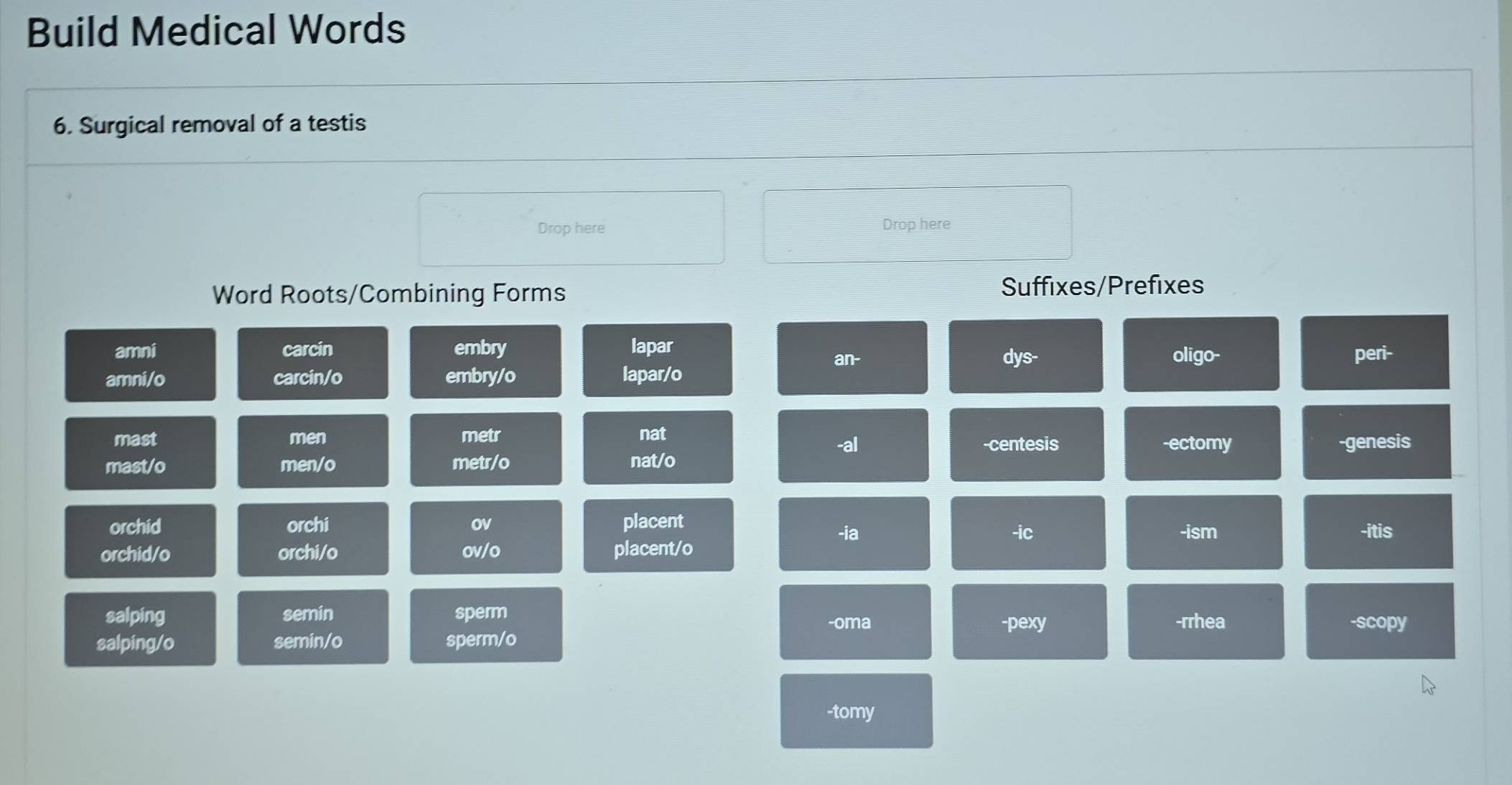 Solved: Build Medical Words 6. Surgical removal of a testis Drop here ...