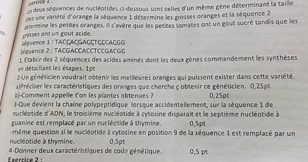 Solved: Eercicé 1 : e deux séquences de nucléotides ci-dessous sont ...