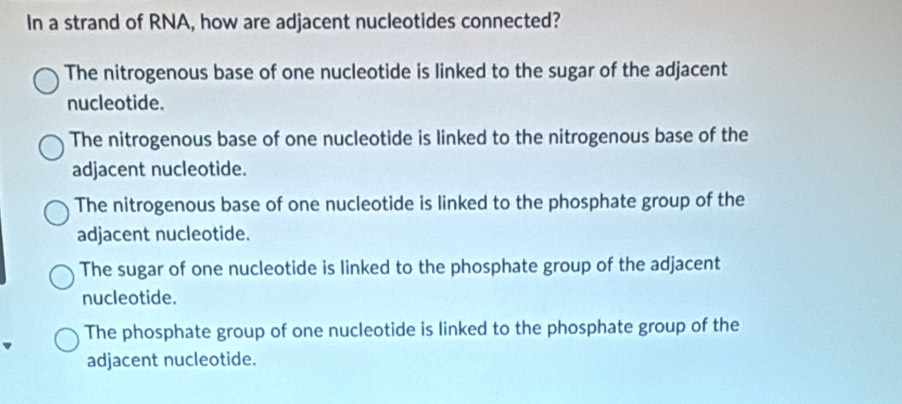 Solved: In a strand of RNA, how are adjacent nucleotides connected? The ...
