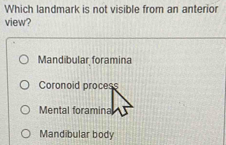 Solved: Which landmark is not visible from an anterior view? Mandibular ...