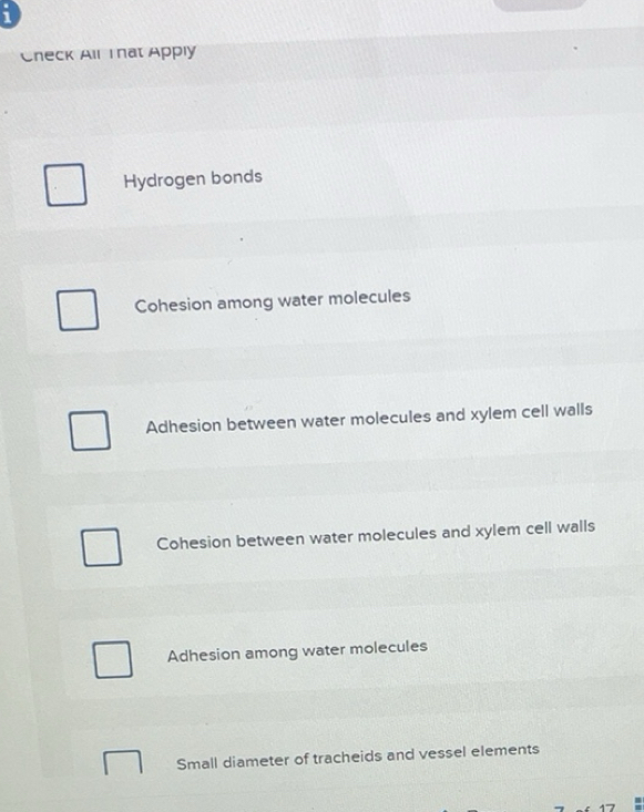 Solved: Check All That Apply Hydrogen bonds Cohesion among water ...