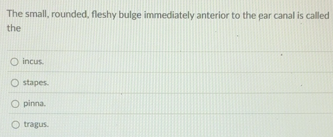 Solved: The small, rounded, fleshy bulge immediately anterior to the ...