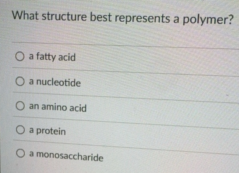 Solved: What structure best represents a polymer? a fatty acid a ...