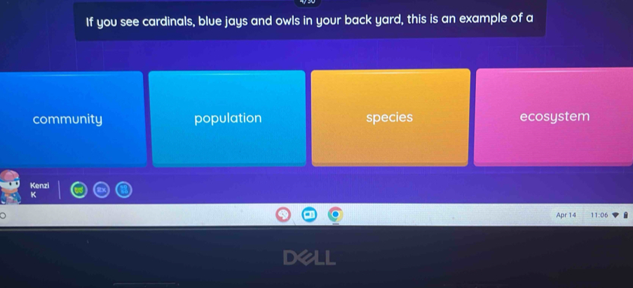 Solved: If you see cardinals, blue jays and owls in your back yard ...