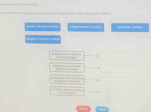Solved: Drag each tile to the correct box:' Match the different ...