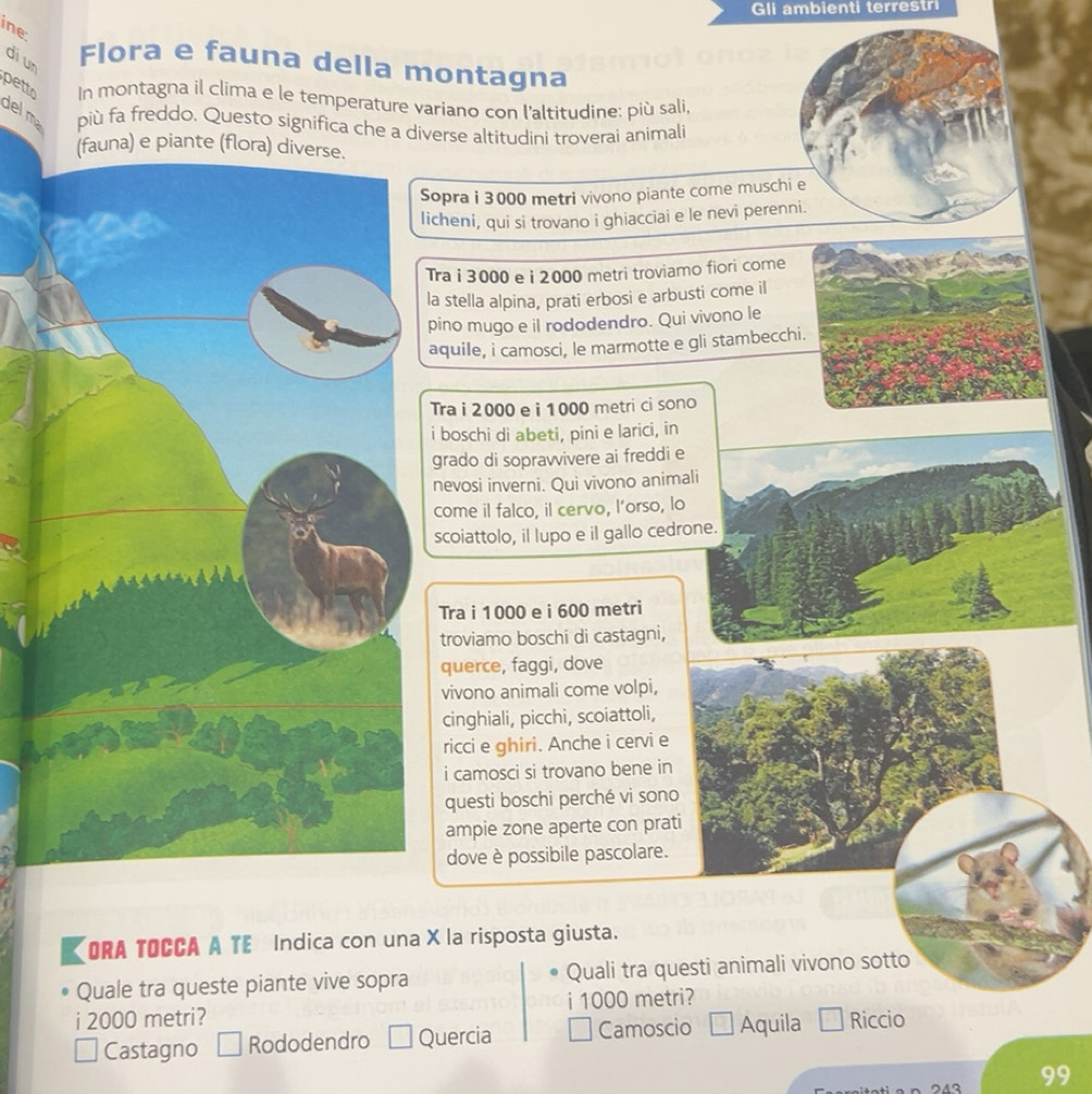 Risolto:Gli ambienti terrestri ine di un Flora e fauna della montagna ...