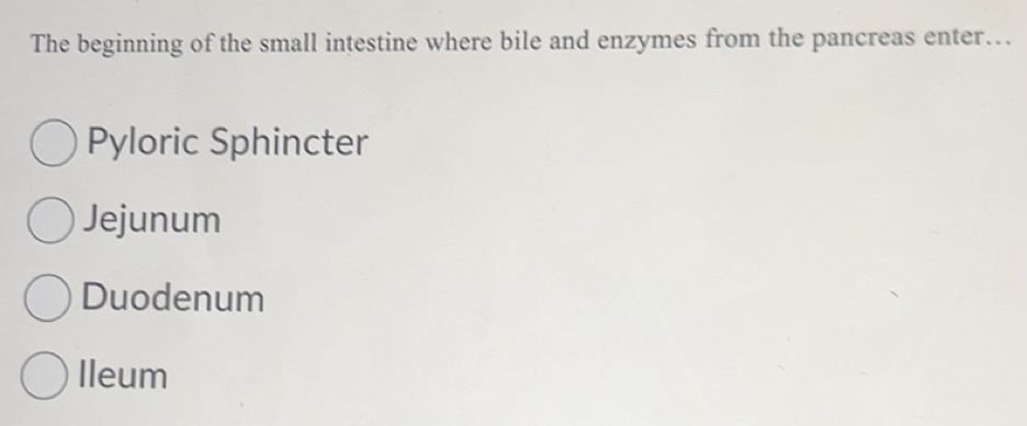 Solved: The beginning of the small intestine where bile and enzymes ...