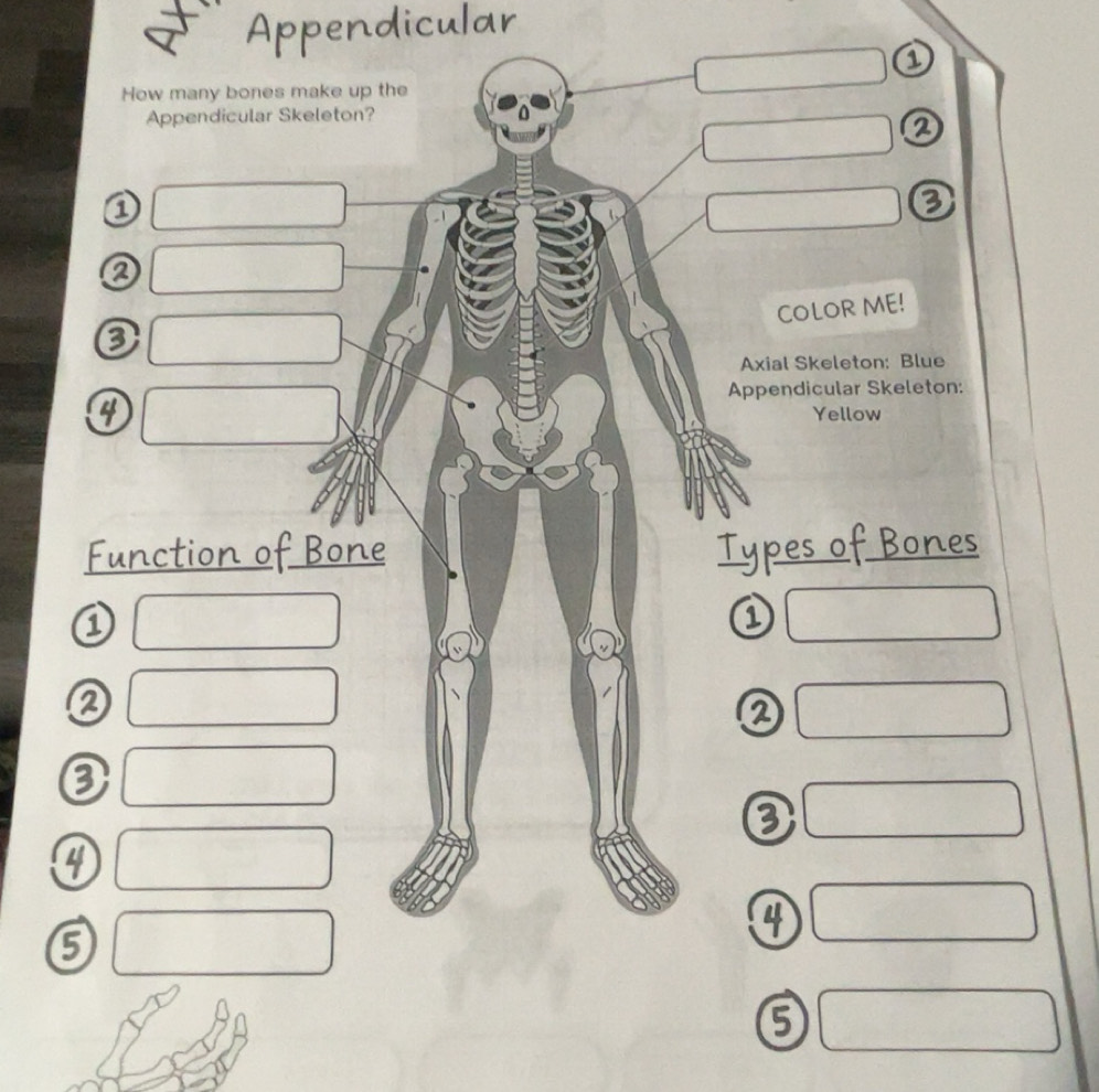 Solved: Appendicular° a How many bones make up the Appendicular ...