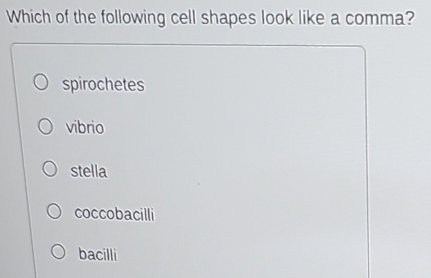 Solved: Which of the following cell shapes look like a comma ...