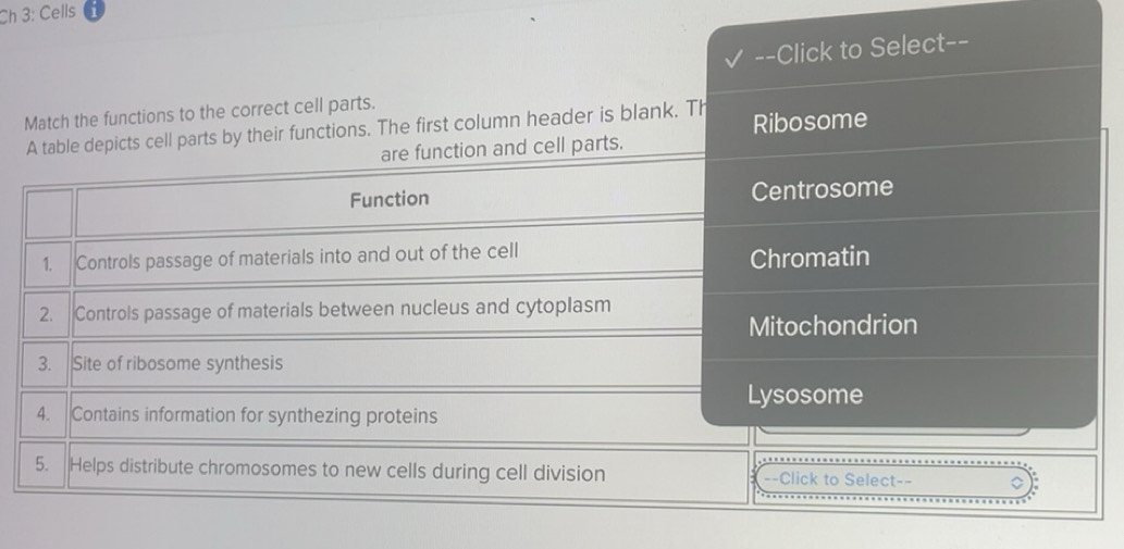 Solved: Ch 3: Cells √ --Click to Select=- Match the functions to the ...