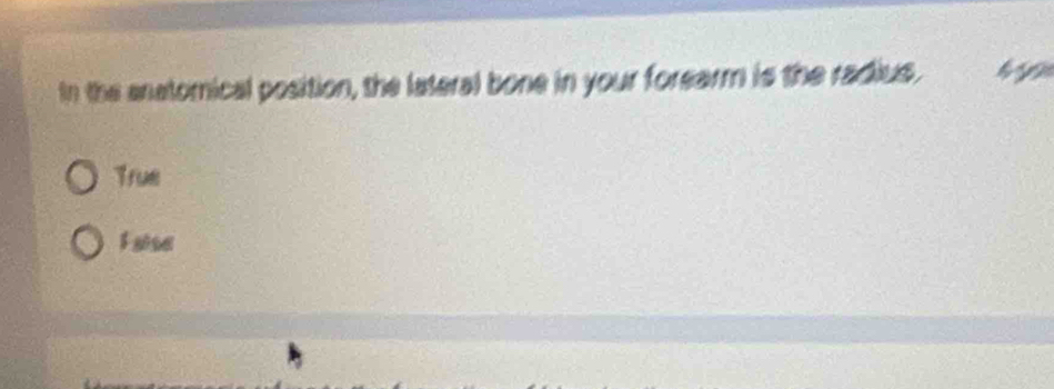 Solved: In the anatomical position, the lateral bone in your forearm is ...