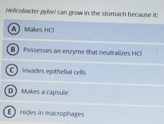 Solved: Helicobacter pylori can grow in the stomach because it: A Makes ...