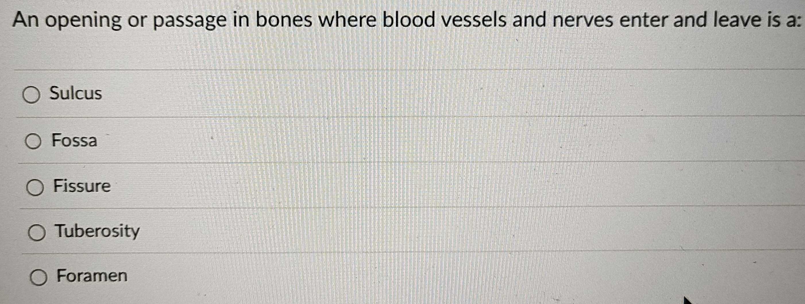 Solved: An opening or passage in bones where blood vessels and nerves ...