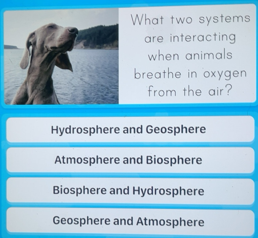 Solved: What two systems are interacting when animals breathe in oxygen ...