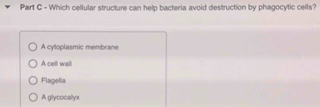 Solved: Which cellular structure can help bacteria avoid destruction by ...