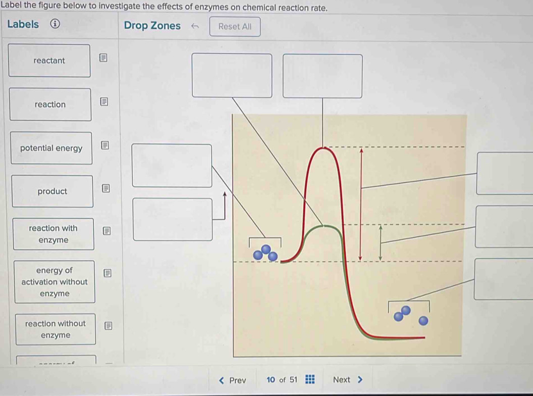 Solved: Label the figure below to investigate the effects of enzymes on ...
