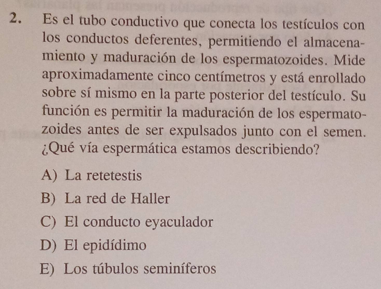 Resuelto:Es el tubo conductivo que conecta los testículos con los ...