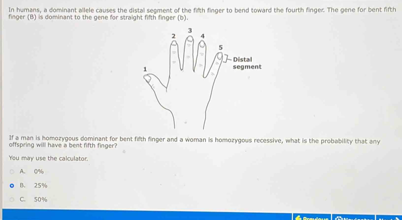 In humans, a dominant allele causes the distal segment of the fifth ...