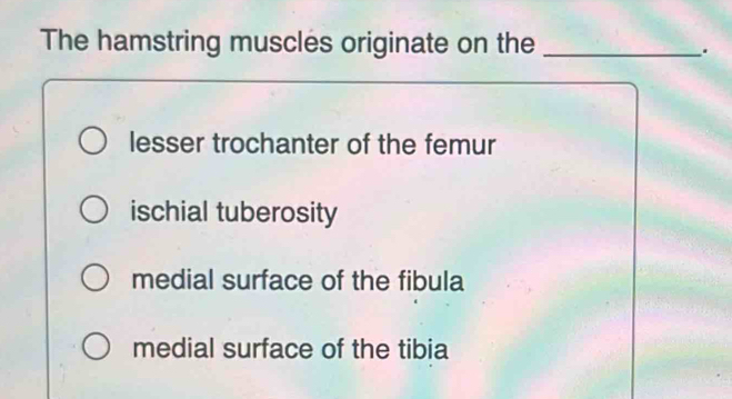 Solved: The hamstring muscles originate on the_ lesser trochanter of ...