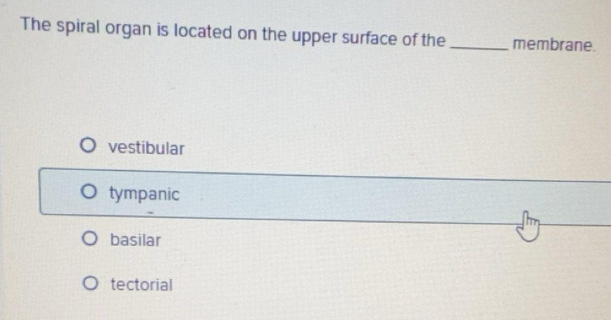 Solved: The spiral organ is located on the upper surface of the ...