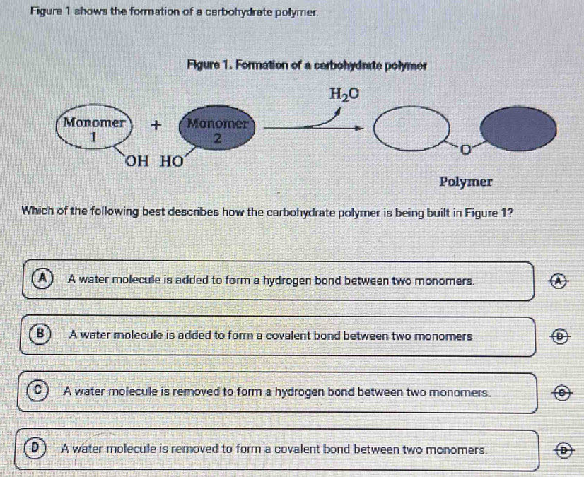 Solved: Figure 1 shows the formation of a carbohydrate polymer. Figure ...