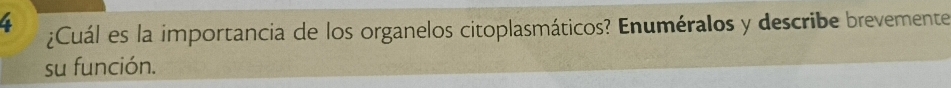 Resuelto:¿Cuál es la importancia de los organelos citoplasmáticos ...