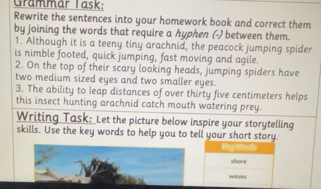 Gelöst:Grammar Task: Rewrite the sentences into your homework book and ...