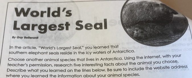 World’s Largest Seal By Guy Belleranti In the article, “World's Largest ...