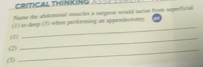 Solved: CRITICAL THINKING ASSESSM Name the abdominal muscles a surgeon ...