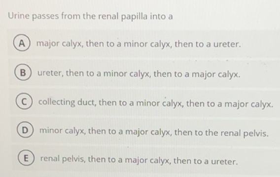 Solved: Urine passes from the renal papilla into a A major calyx, then to a minor calyx, then to ...