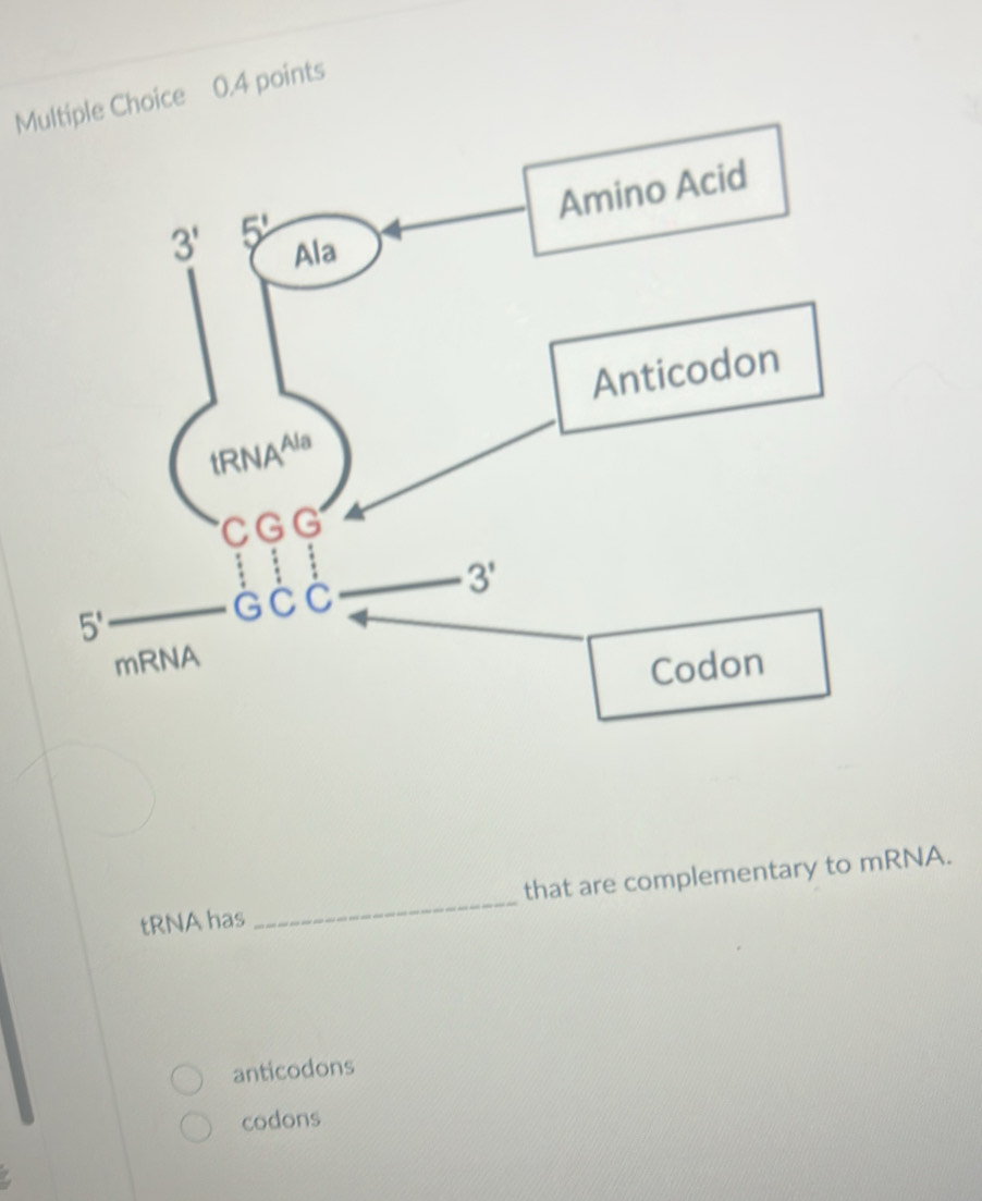 Solved: Choice 0.4 points tRNA has _that are complementary to mRNA ...