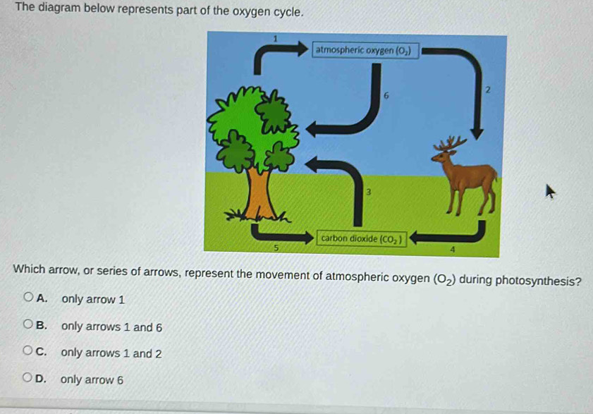 Solved: The diagram below represents part of the oxygen cycle. Which ...